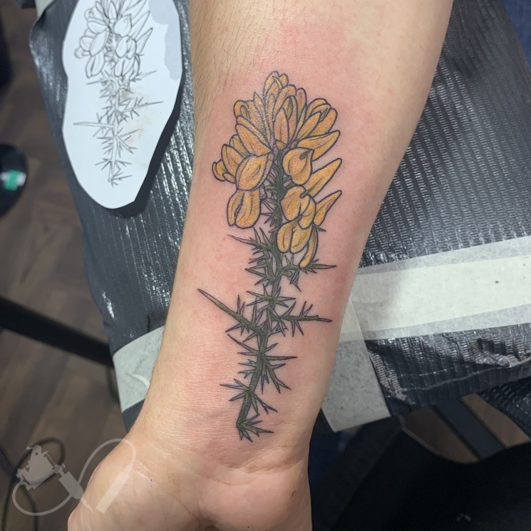 Tattooer | Amanda Rodriguez Custom Tattoo Artist London